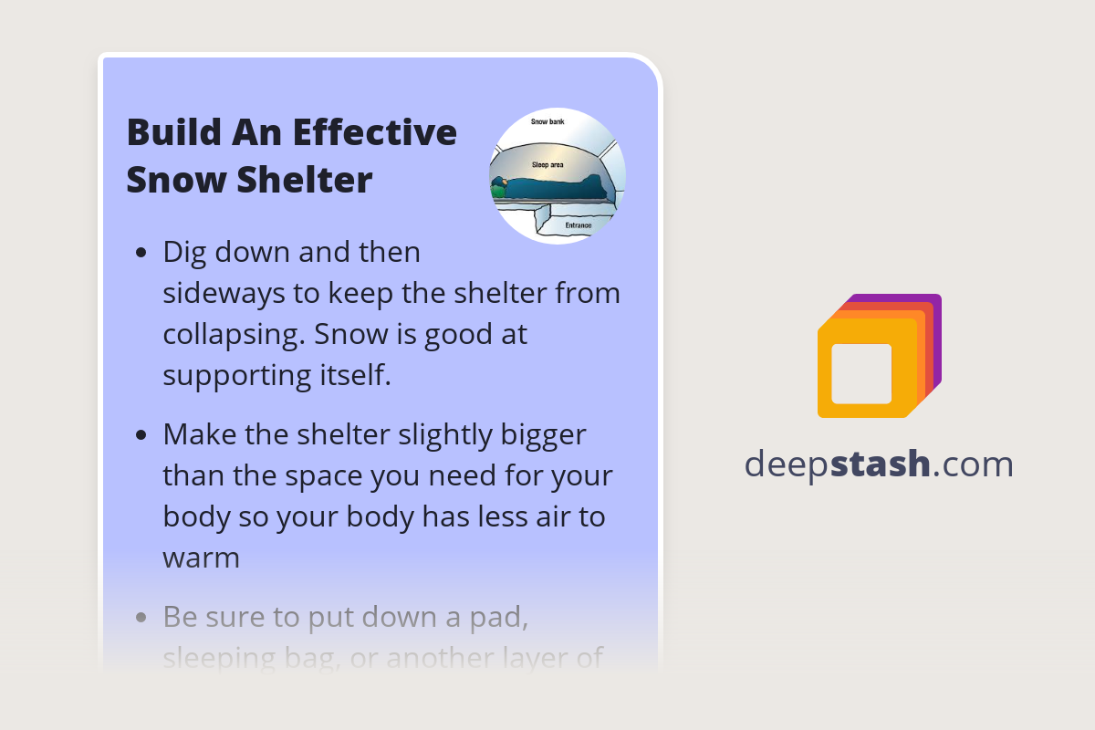 Build An Effective Snow Shelter - Deepstash