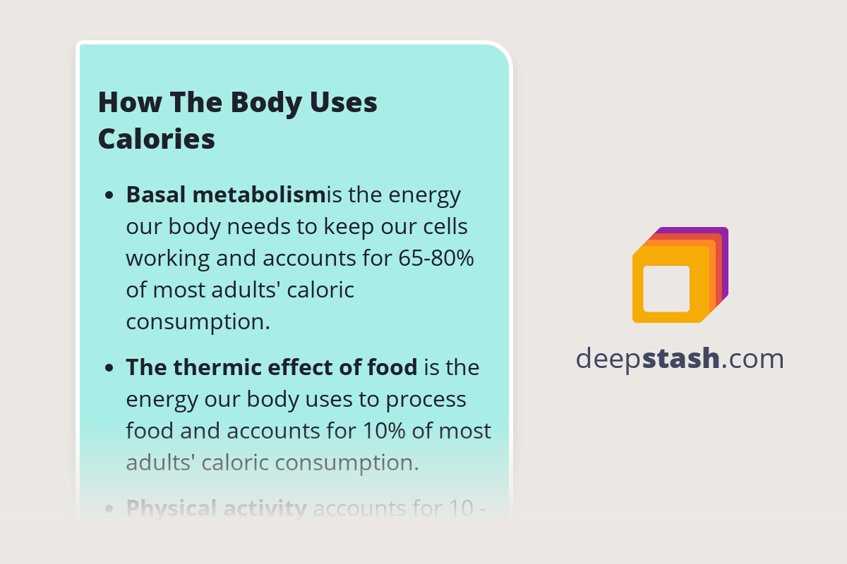 How The Body Uses Calories - Deepstash