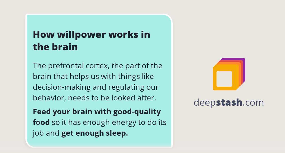 How willpower works in the brain - Deepstash