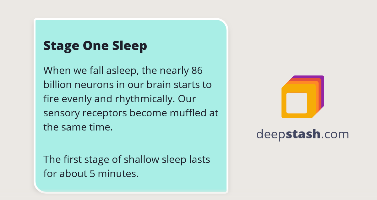 Stage One Sleep - Deepstash