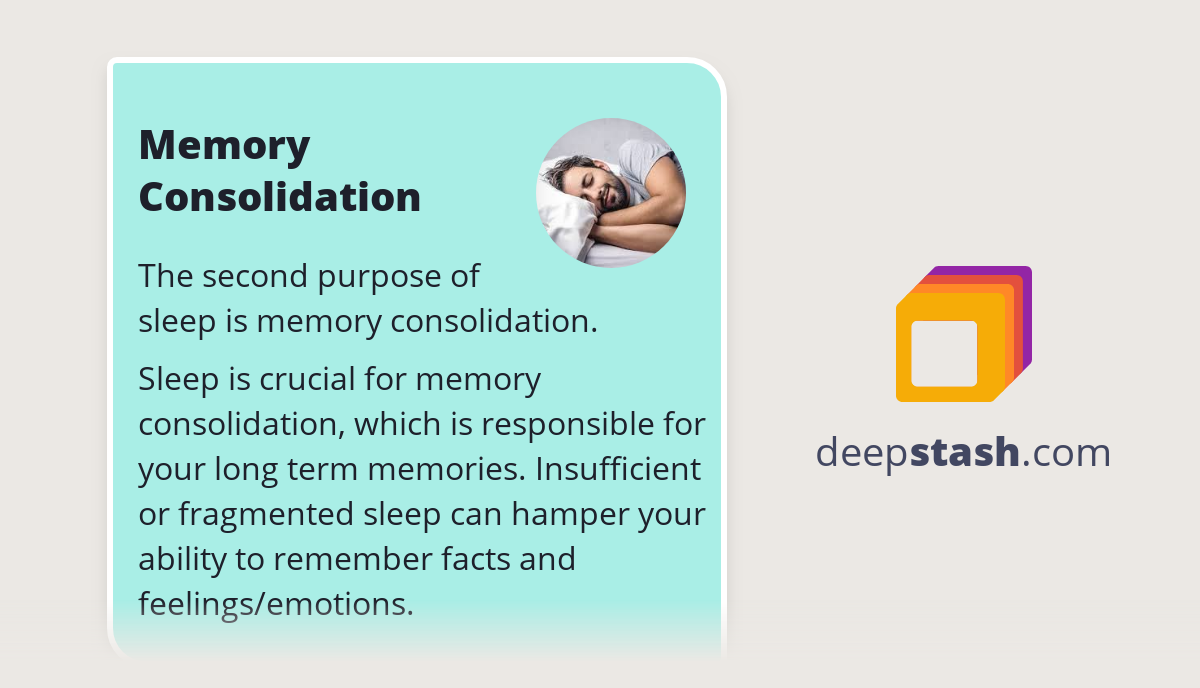 Memory Consolidation - Deepstash