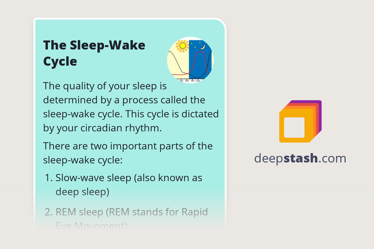 The Sleep-Wake Cycle - Deepstash