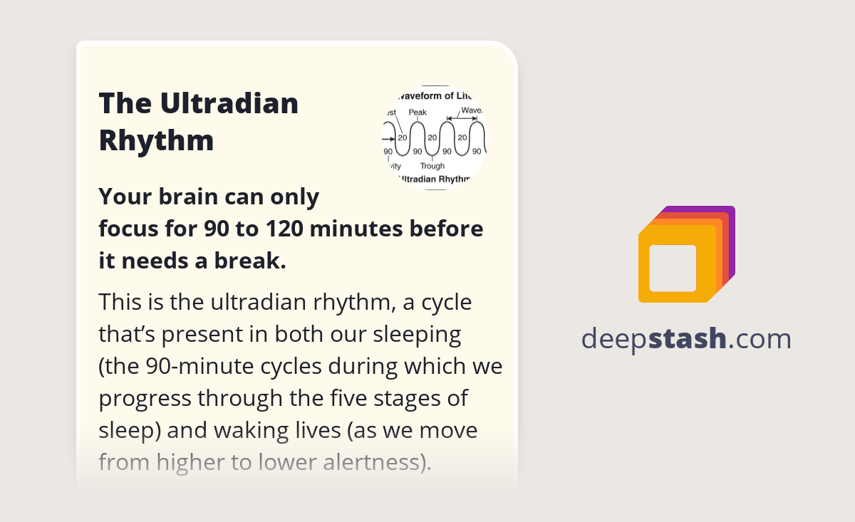 The Ultradian Rhythm - Deepstash