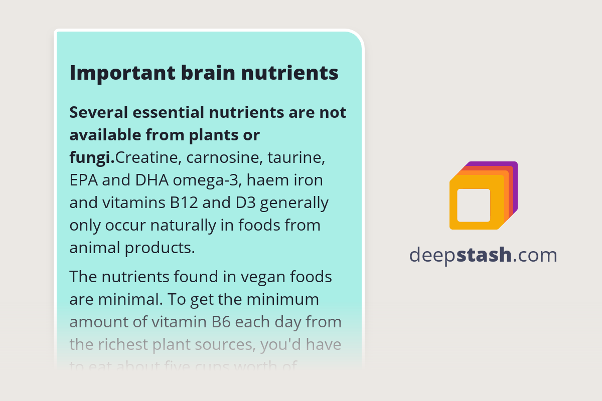 Important brain nutrients - Deepstash