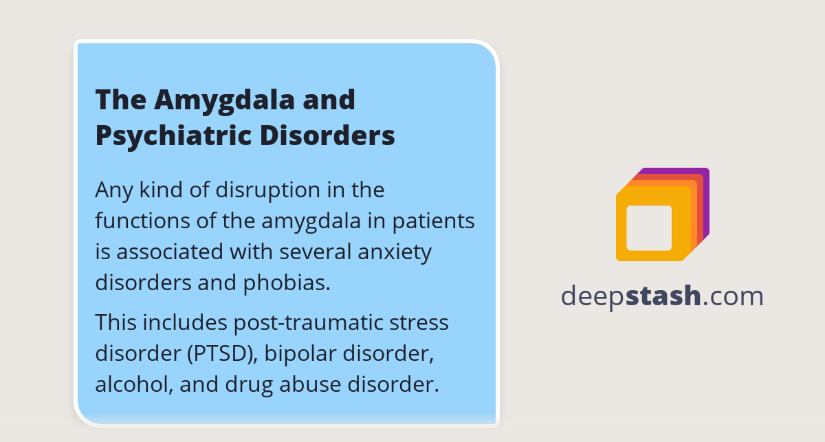 The Amygdala and Psychiatric Disorders - Deepstash