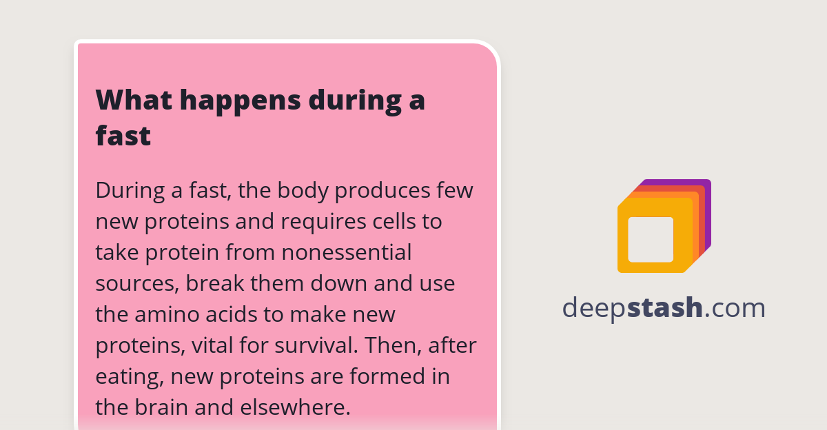 What happens during a fast - Deepstash