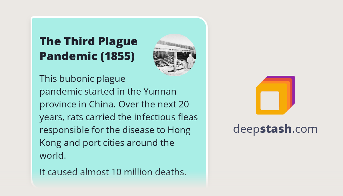The Third Plague Pandemic (1855) - Deepstash