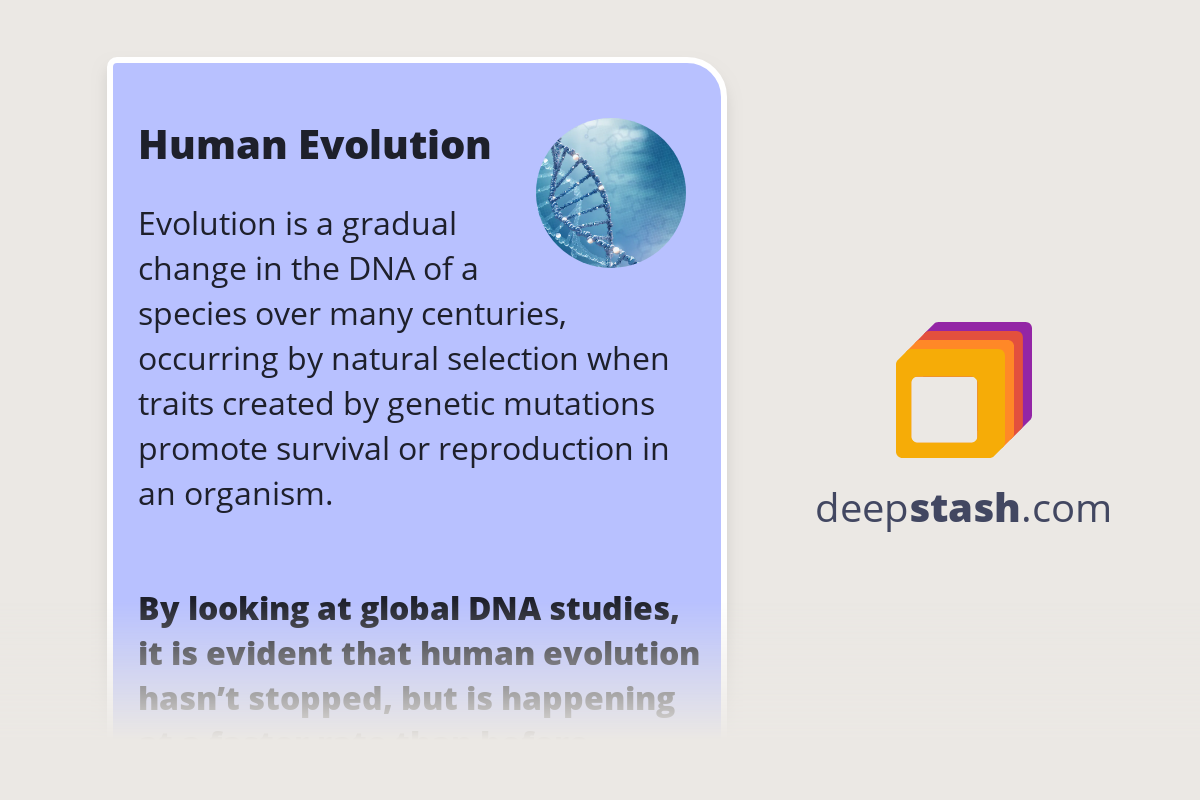 Human Evolution - Deepstash