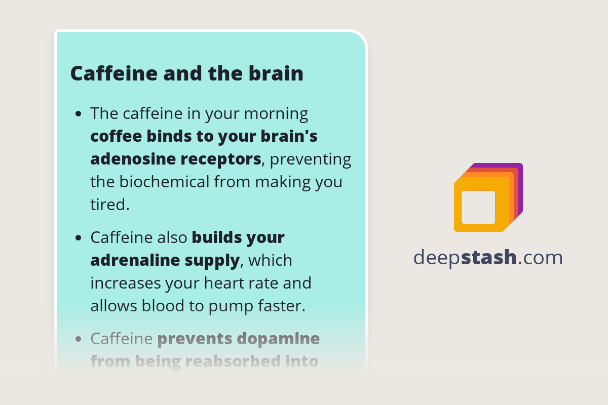 Caffeine and the brain - Deepstash