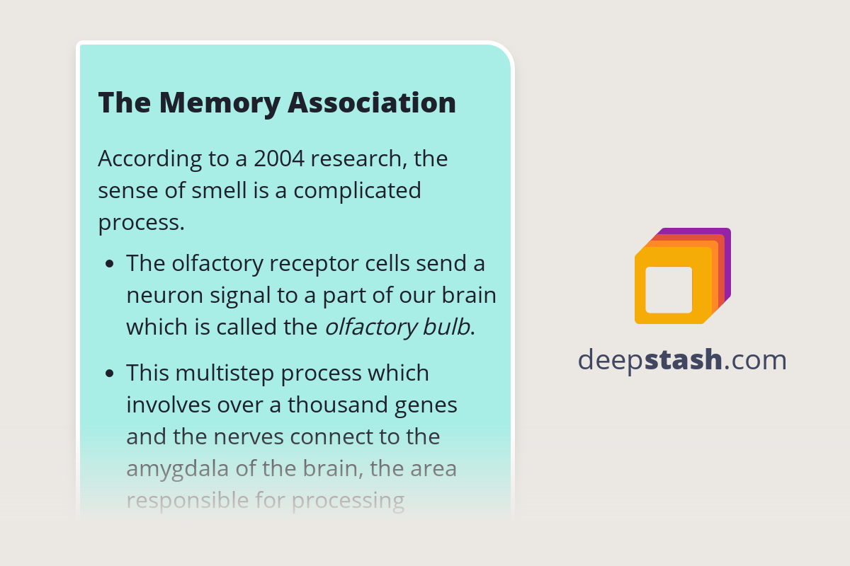 The Memory Association - Deepstash