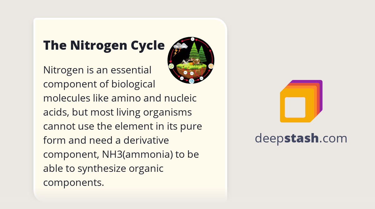 The Nitrogen Cycle - Deepstash