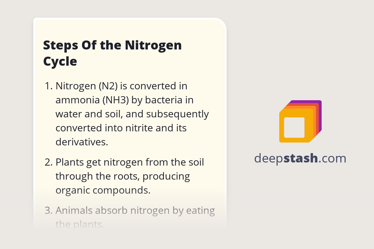 Nitrogen Cycle Diagram With Steps Explained Teachoo