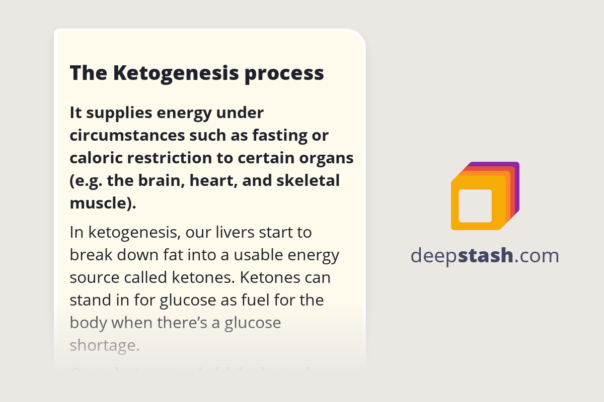 The Ketogenesis process - Deepstash